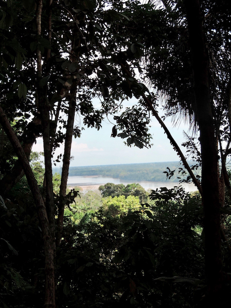 Postcard from…the Amazon Rainforest – Kate on her travels