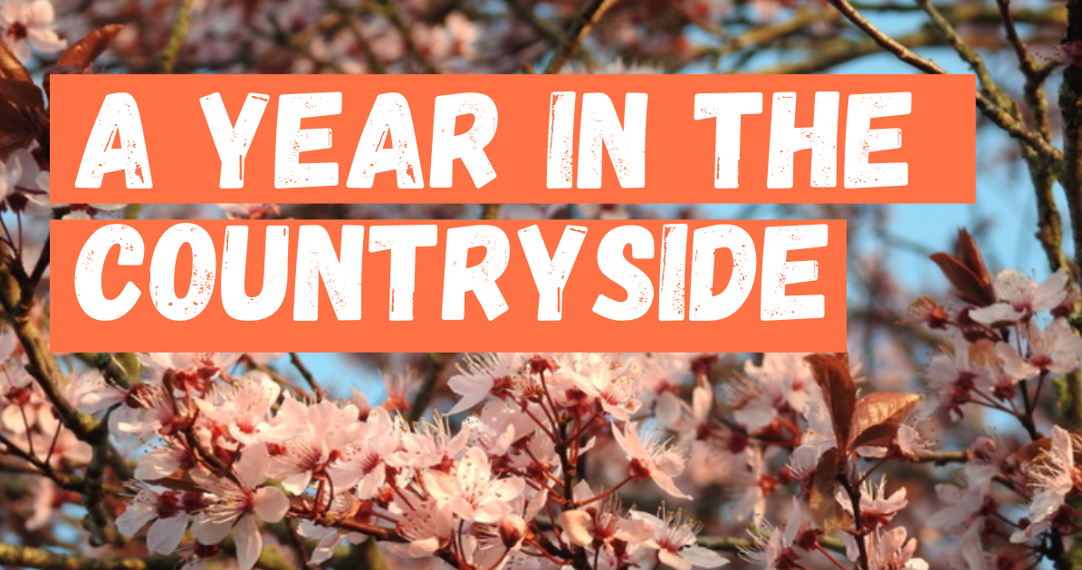Spring is here part II: a calendar year in the countryside – Kate on ...